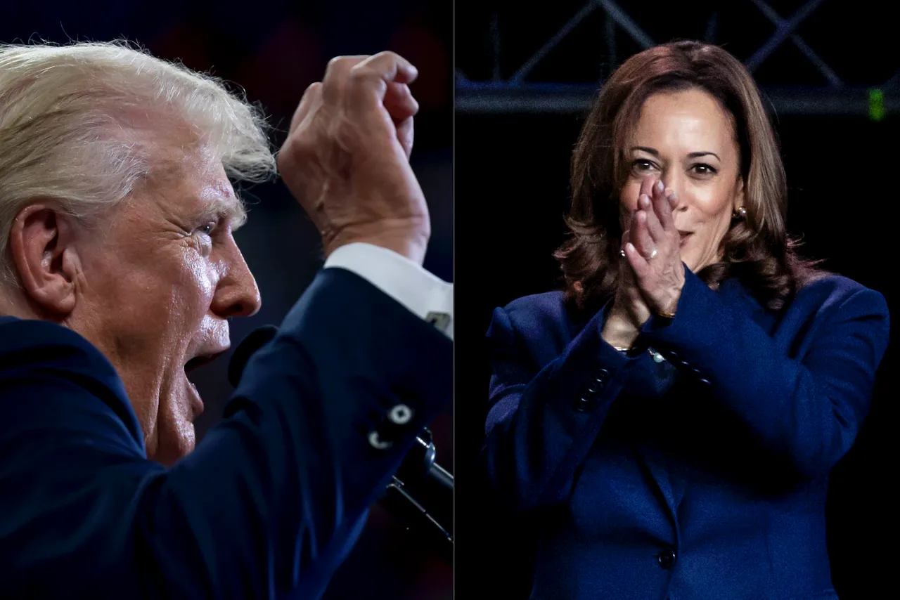 賀錦麗與特朗普，誰能爭取到搖擺選民？專訪歷史學家 Tim Shenk